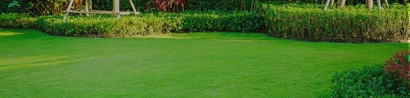 About Us - grassdesigner